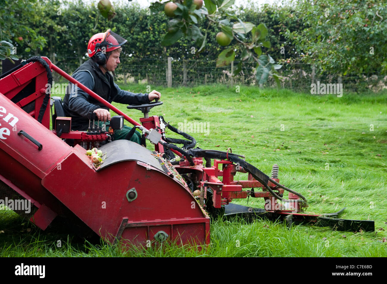 Self propelled cider apple harvester, collecting cider appels from the ...