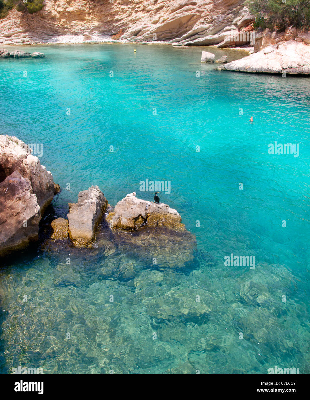 Birds Of Majorca High Resolution Stock Photography and Images - Alamy