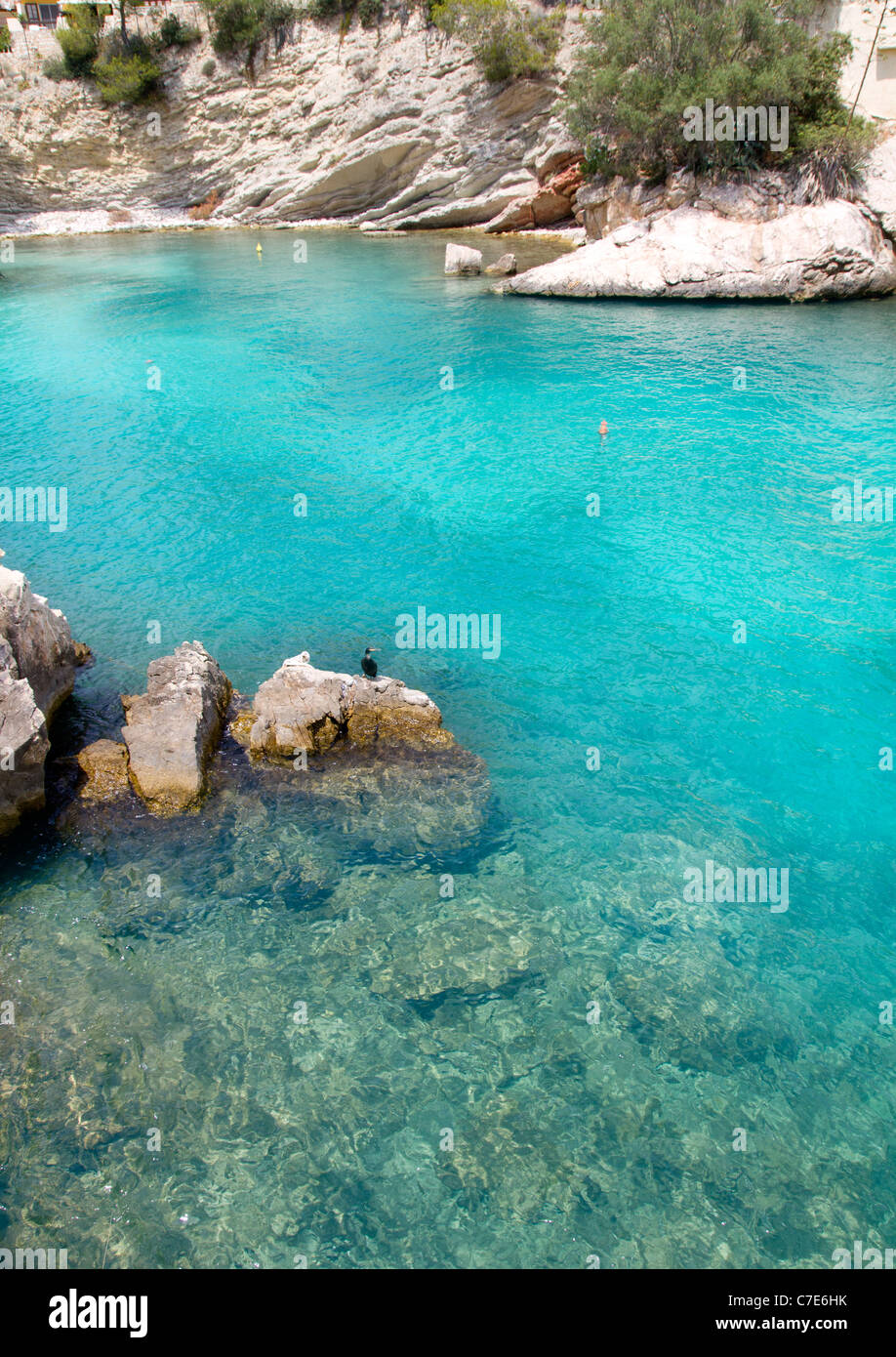 Birds Of Majorca High Resolution Stock Photography and Images - Alamy