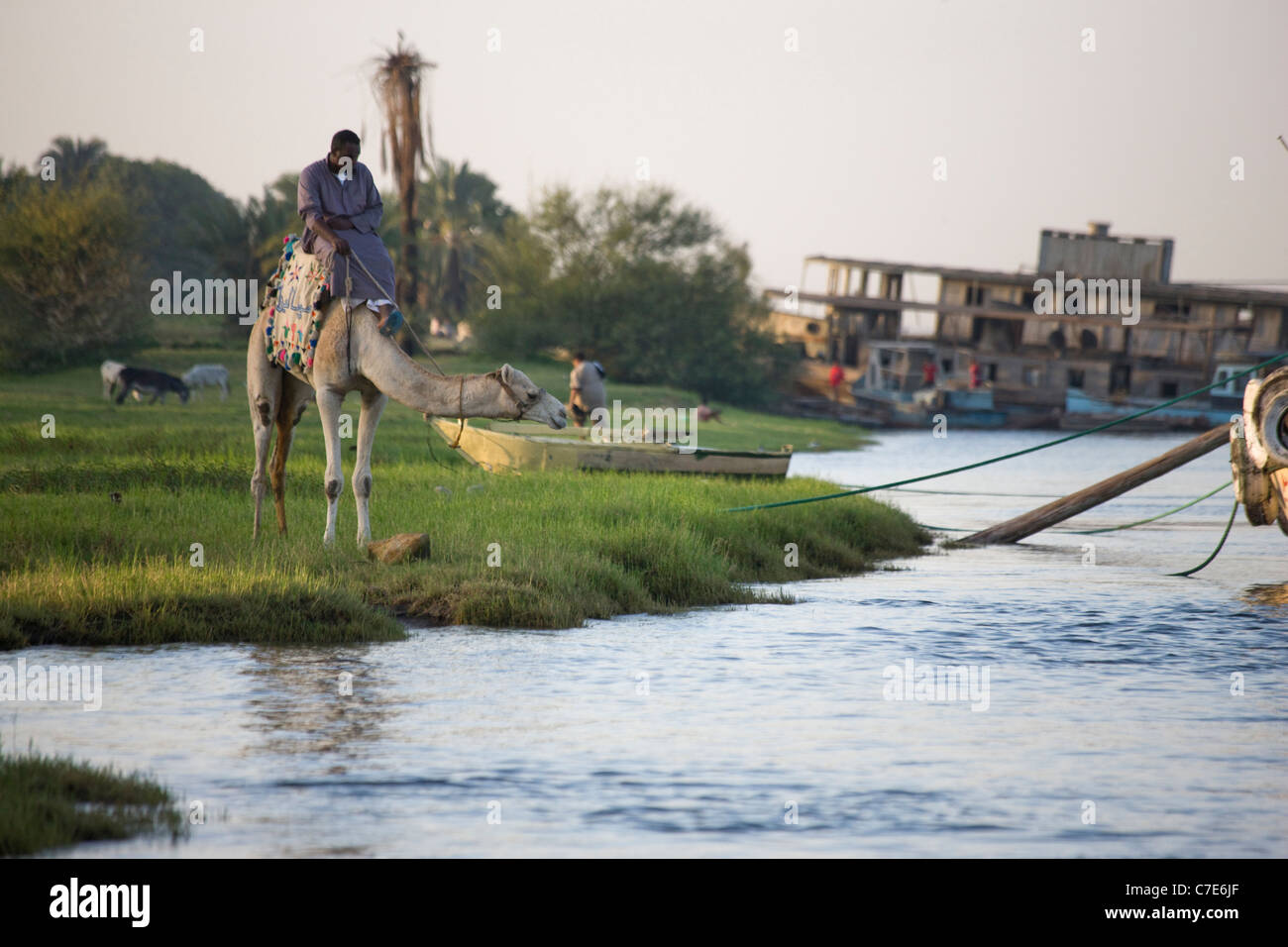 Men riding camel hi-res stock photography and images - Alamy