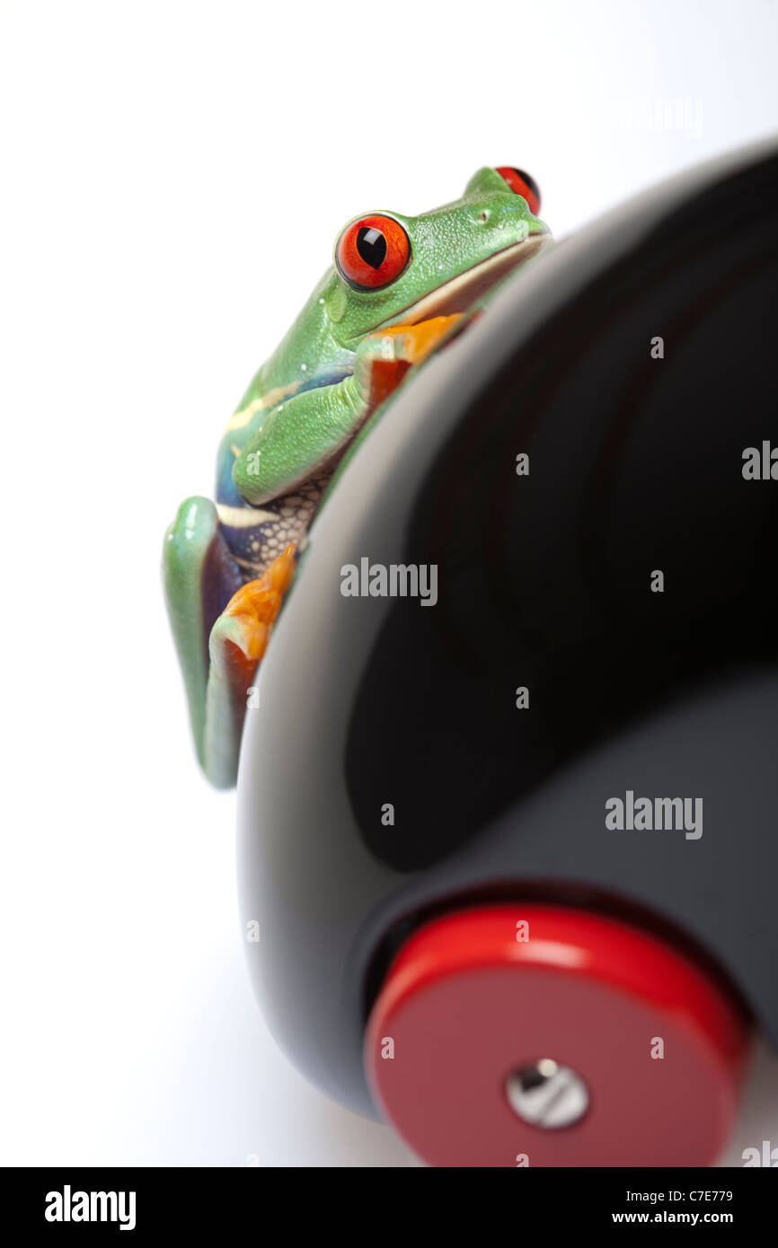 Frog car toy hi-res stock photography and images - Alamy