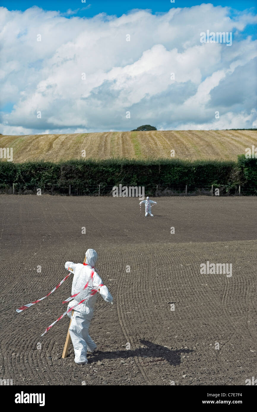 Scarecrows at Raffrey, County Down Stock Photo - Alamy
