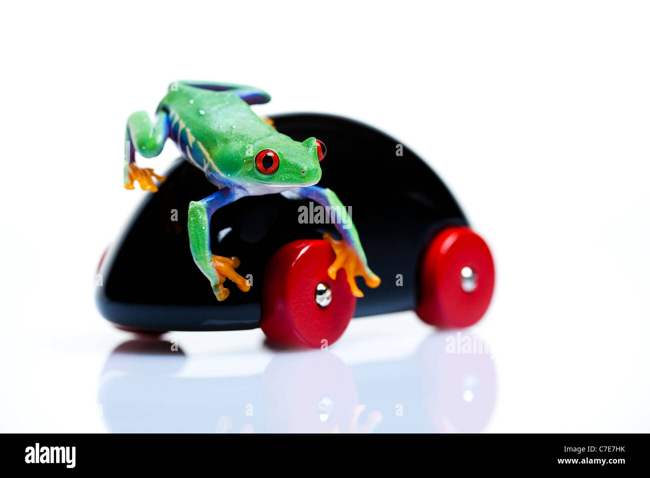 Frog in a car Stock Photo - Alamy