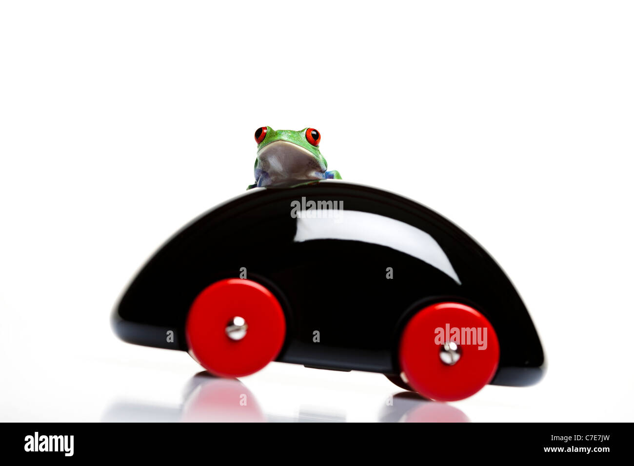Frog on wooden toy car Stock Photo - Alamy