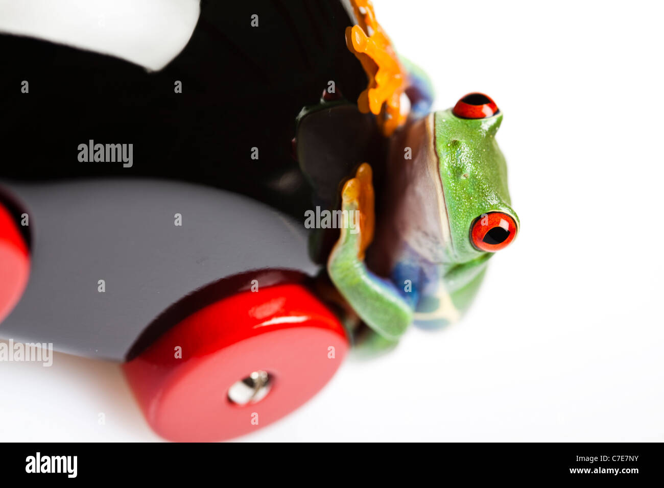Frog on wooden toy car Stock Photo - Alamy