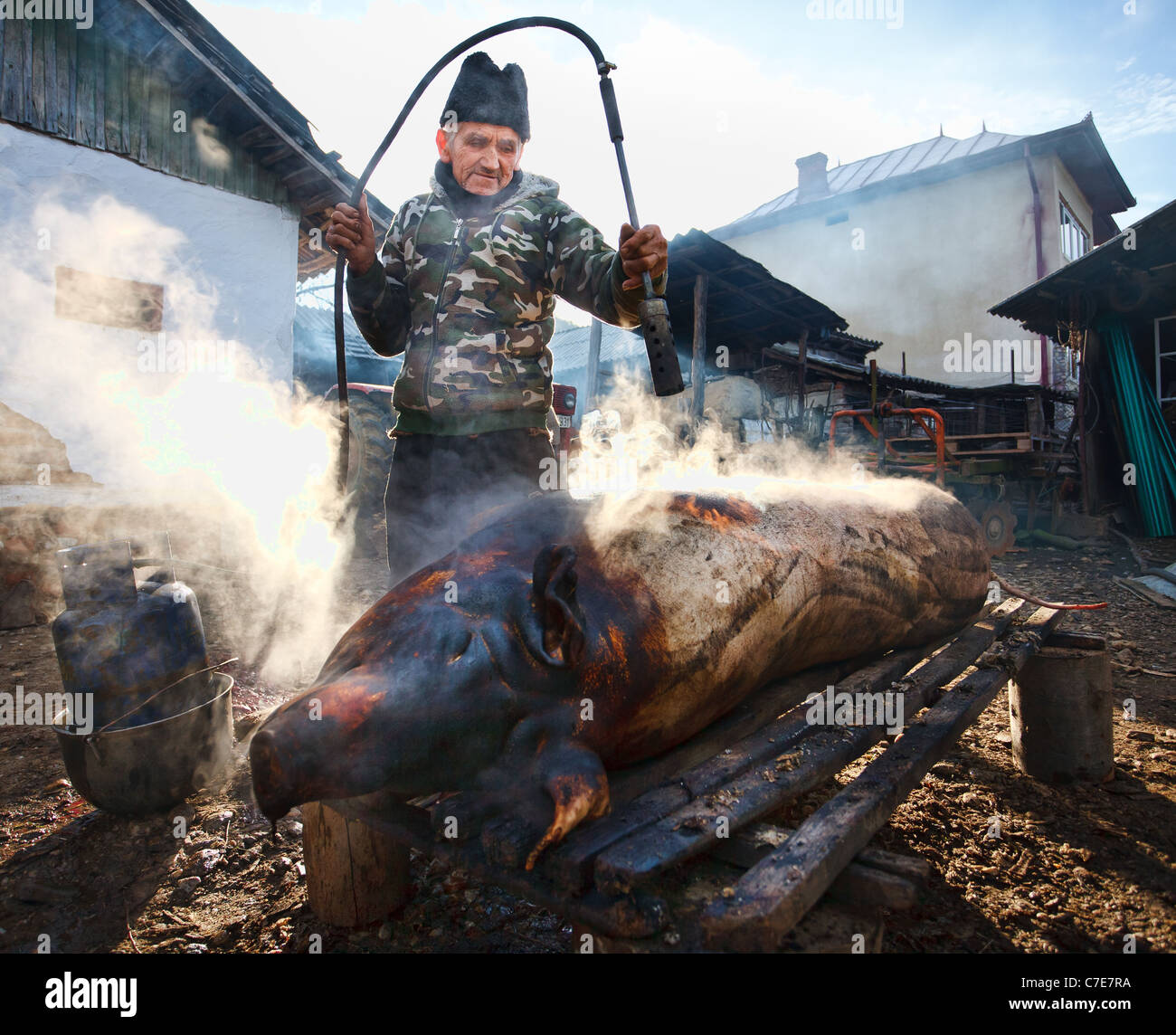 Traditional pig kill and processing in Romania - the pig skin is burned ...