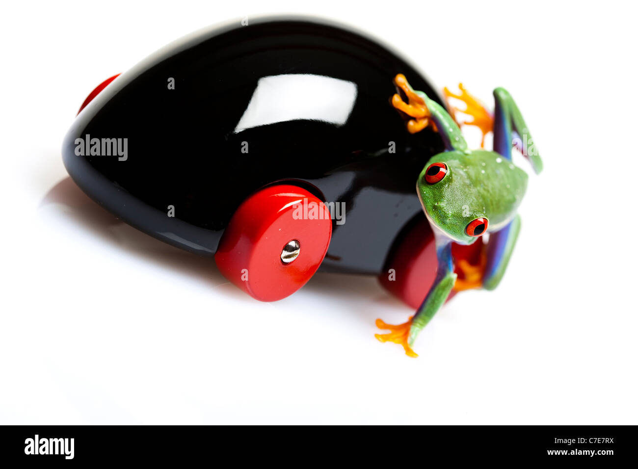 Frog in a car Stock Photo - Alamy