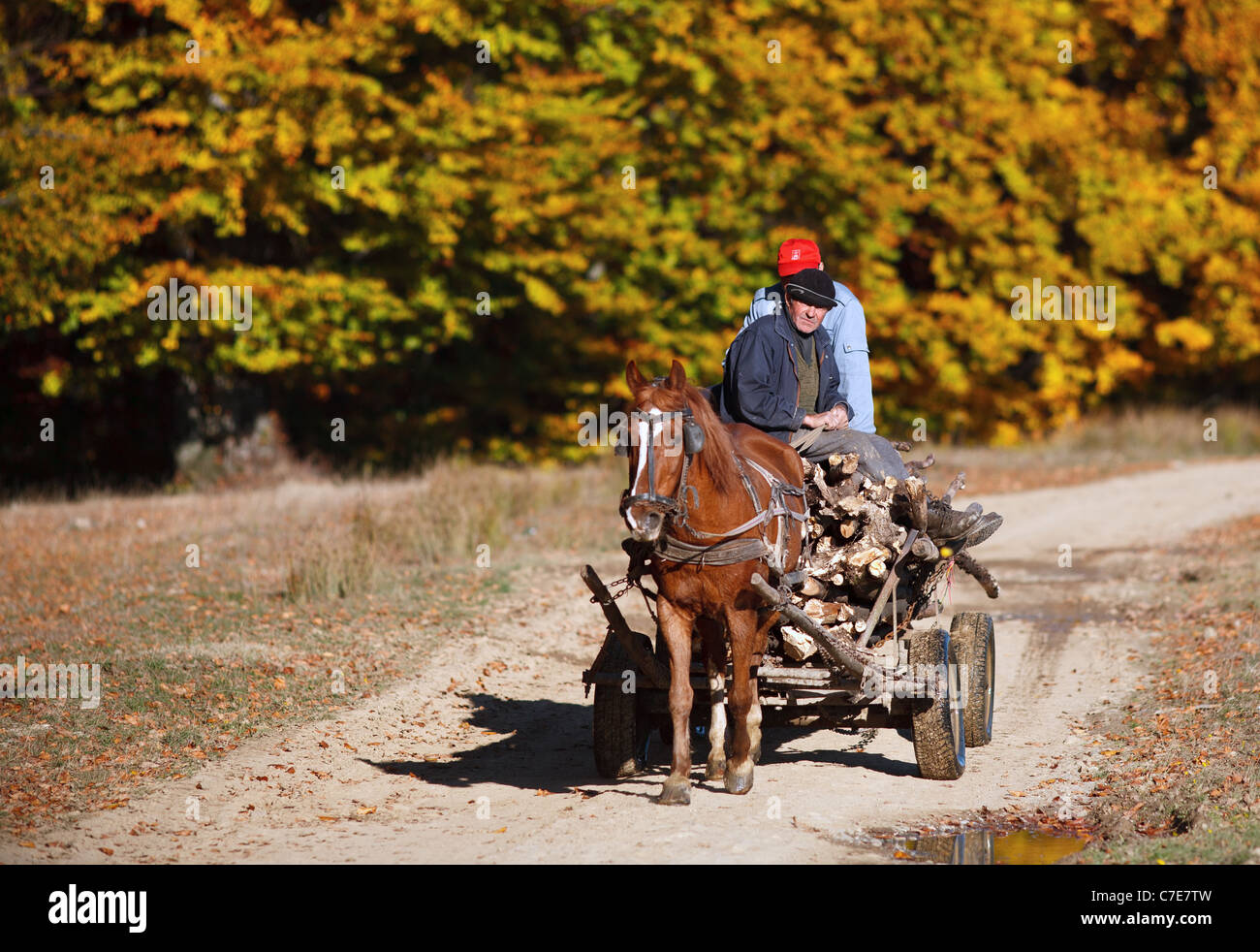 Ethnic Gipsies Stock Photos & Ethnic Gipsies Stock Images - Alamy