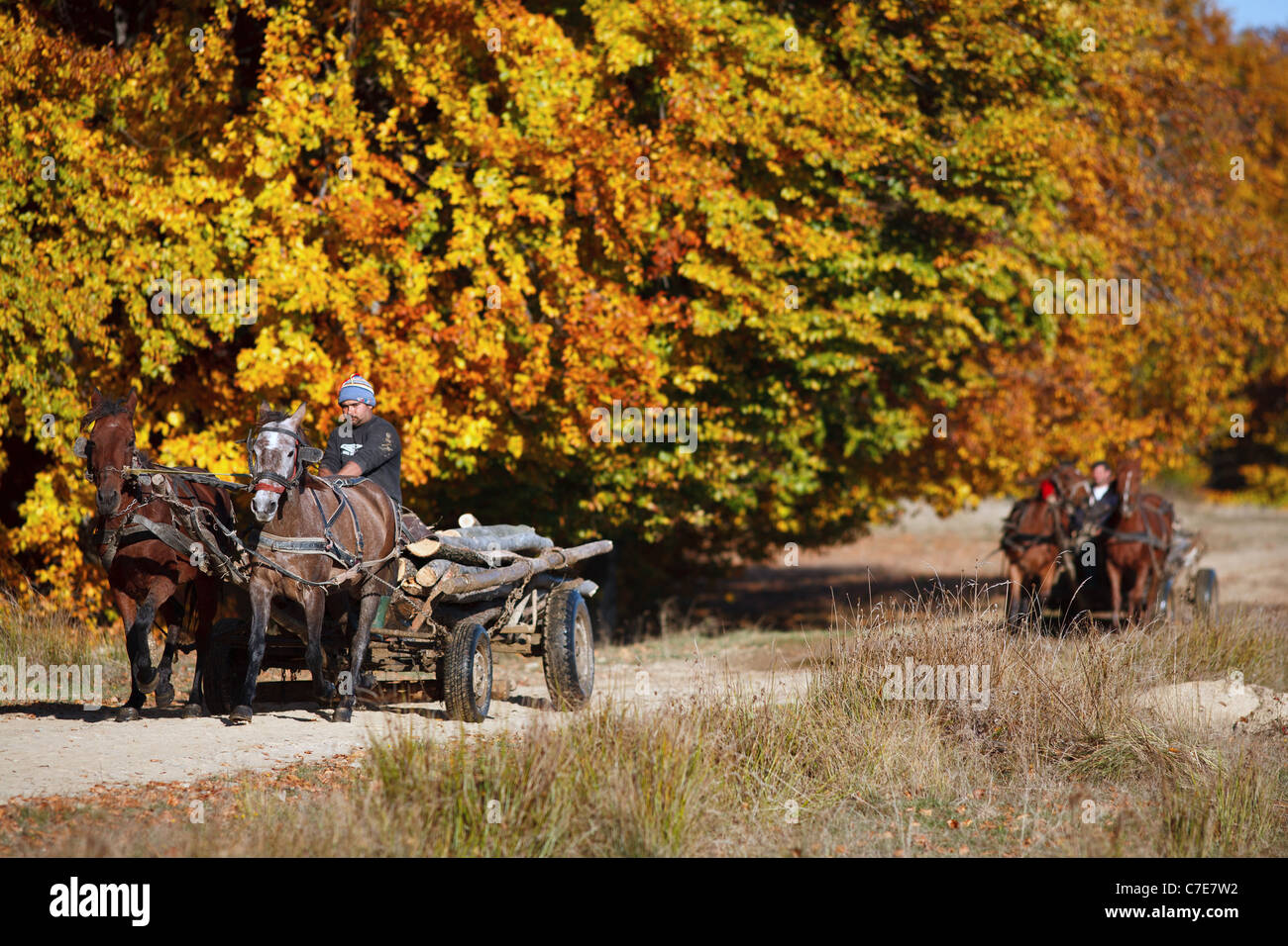 Ethnic Gipsies Stock Photos & Ethnic Gipsies Stock Images - Alamy