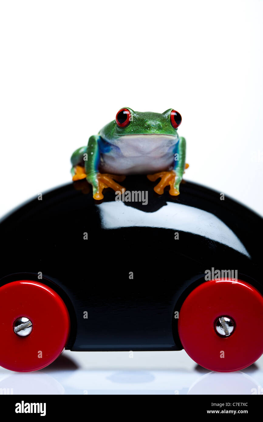 Car toy and crazy frog Stock Photo - Alamy