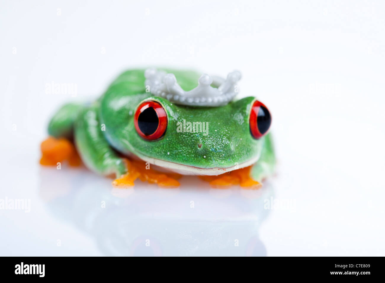 Princess and frog hi-res stock photography and images - Alamy