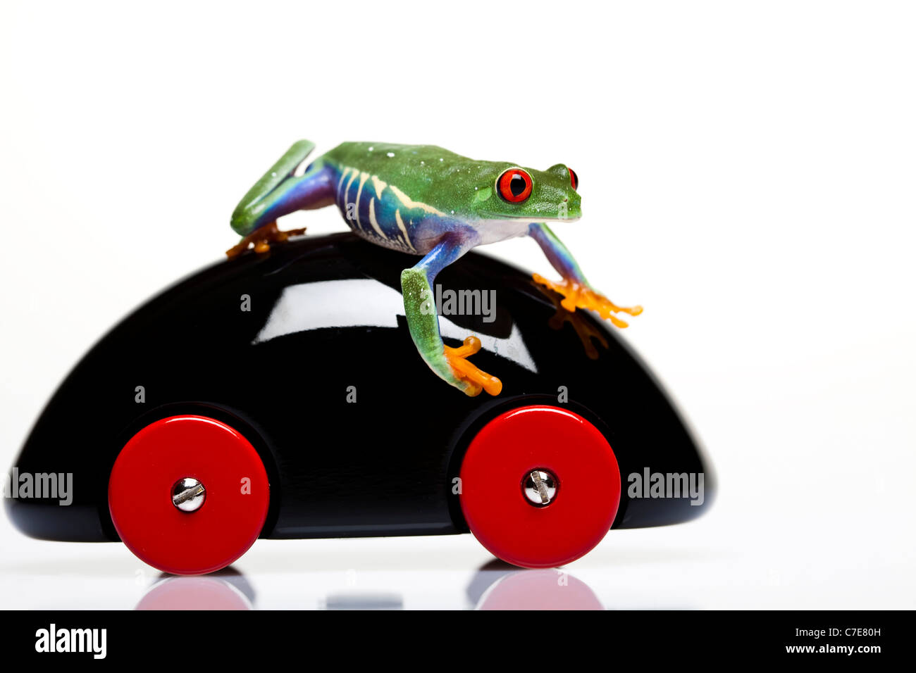 Frog and car Stock Photo - Alamy