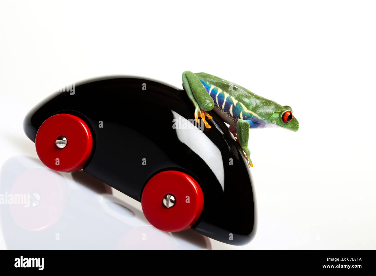 Frog on wooden toy car Stock Photo - Alamy