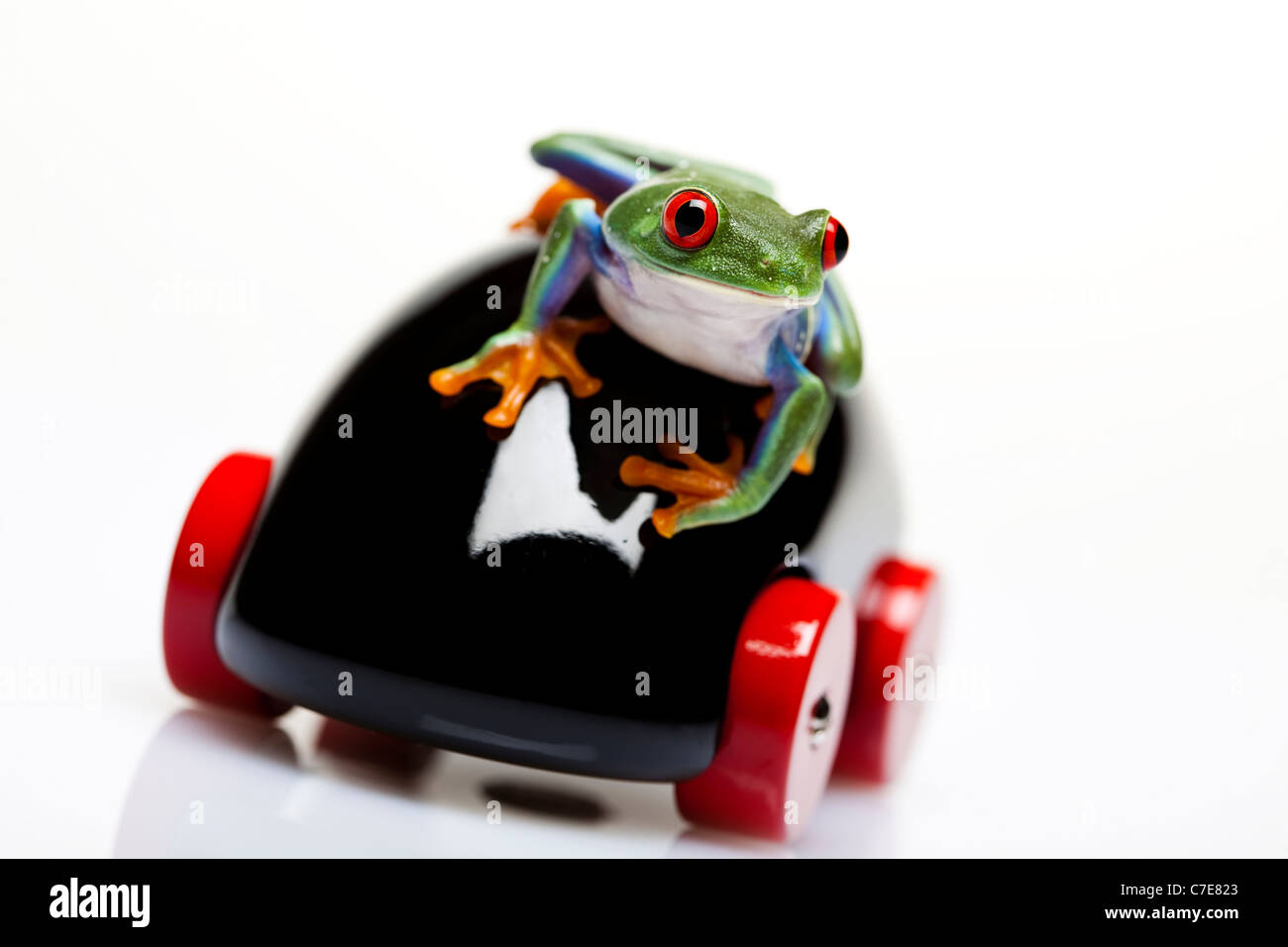 Car toy and crazy frog Stock Photo - Alamy