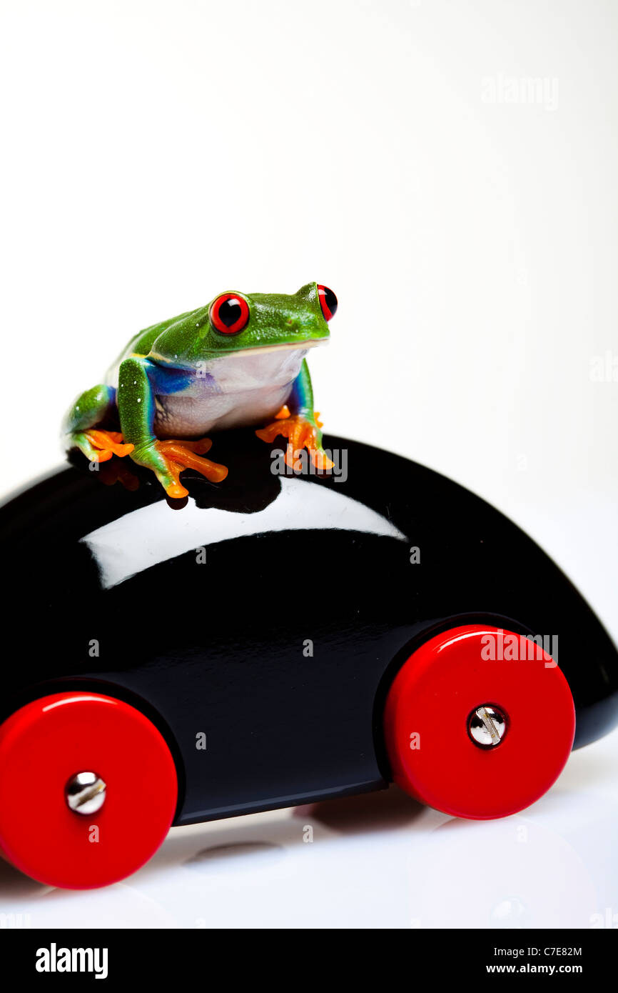 Car toy and crazy frog Stock Photo - Alamy