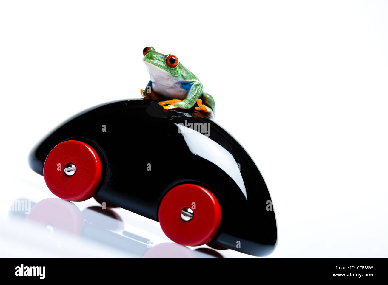 Frog in a car Stock Photo - Alamy