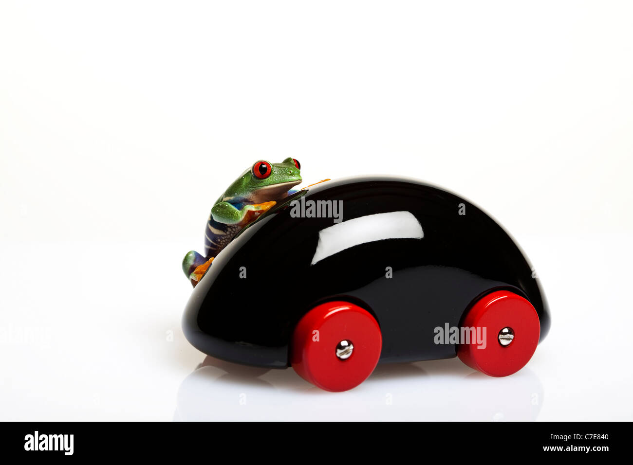 Frog in a car Stock Photo - Alamy