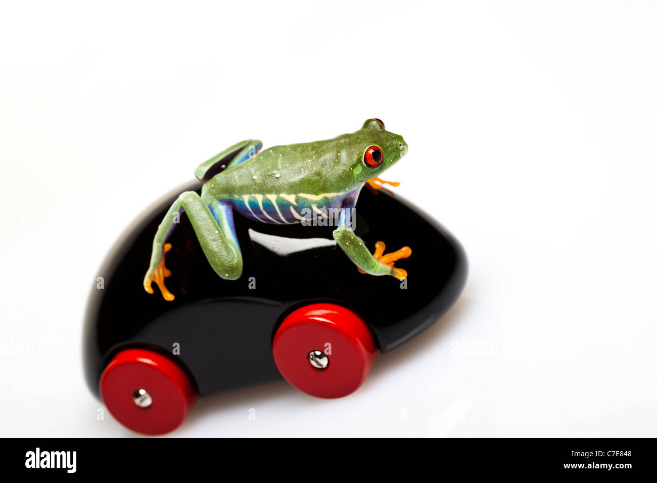 Frog on wooden toy car Stock Photo - Alamy