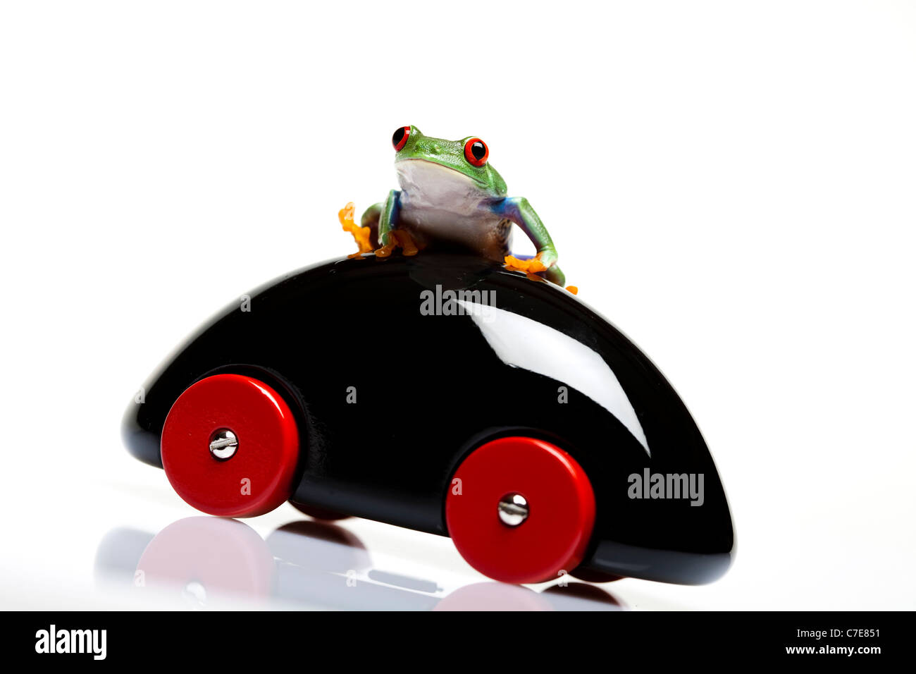 Frog in a car Stock Photo - Alamy
