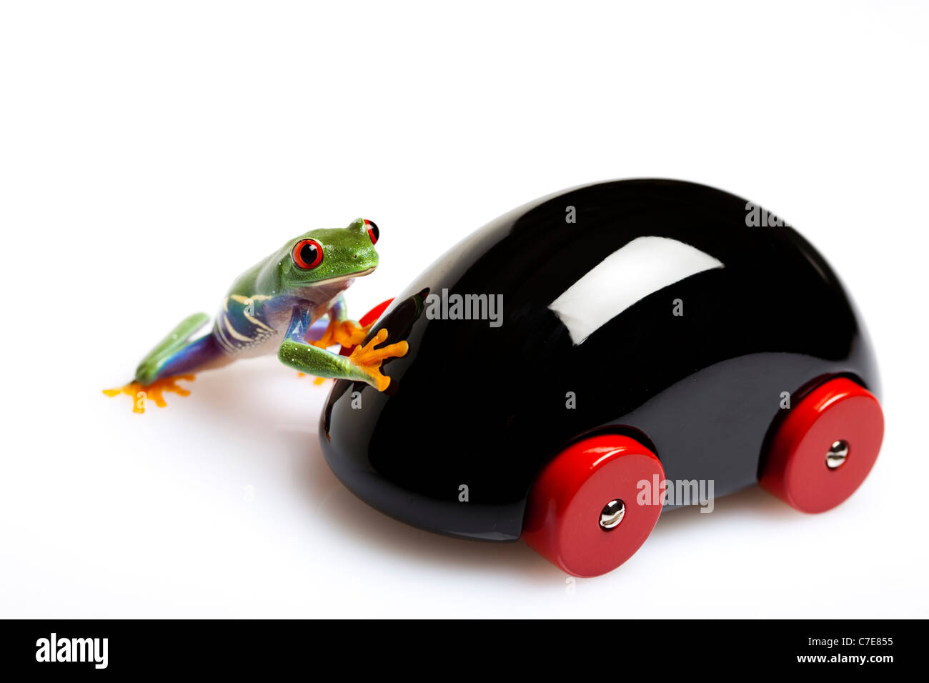 Frog on wooden toy car Stock Photo - Alamy