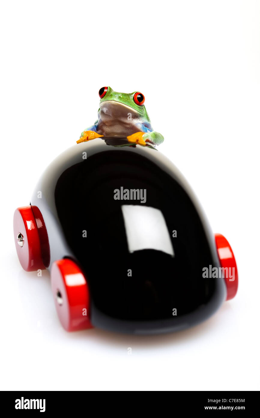 Toy car and frog Stock Photo - Alamy