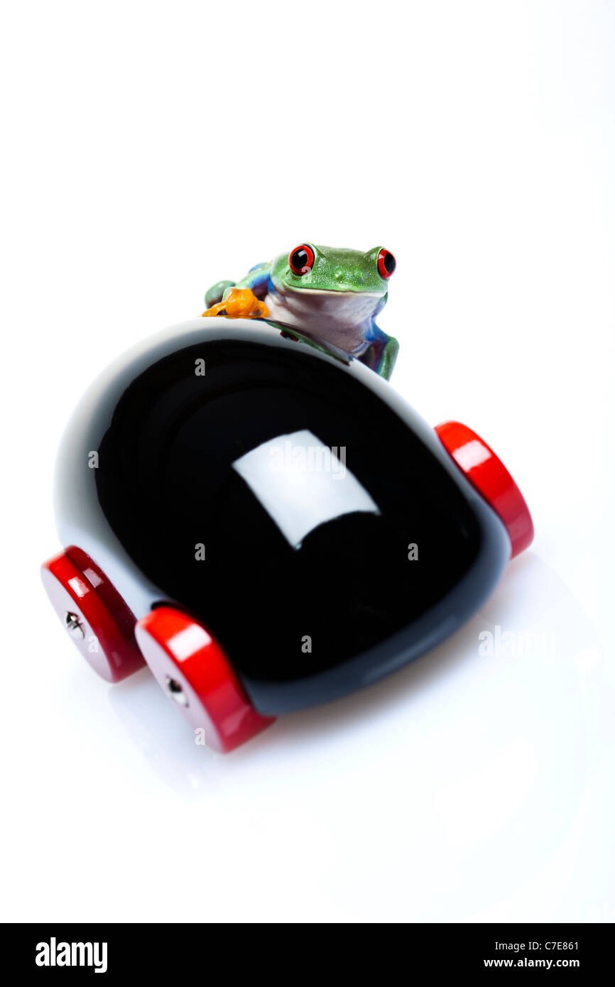 Toy car and frog Stock Photo - Alamy
