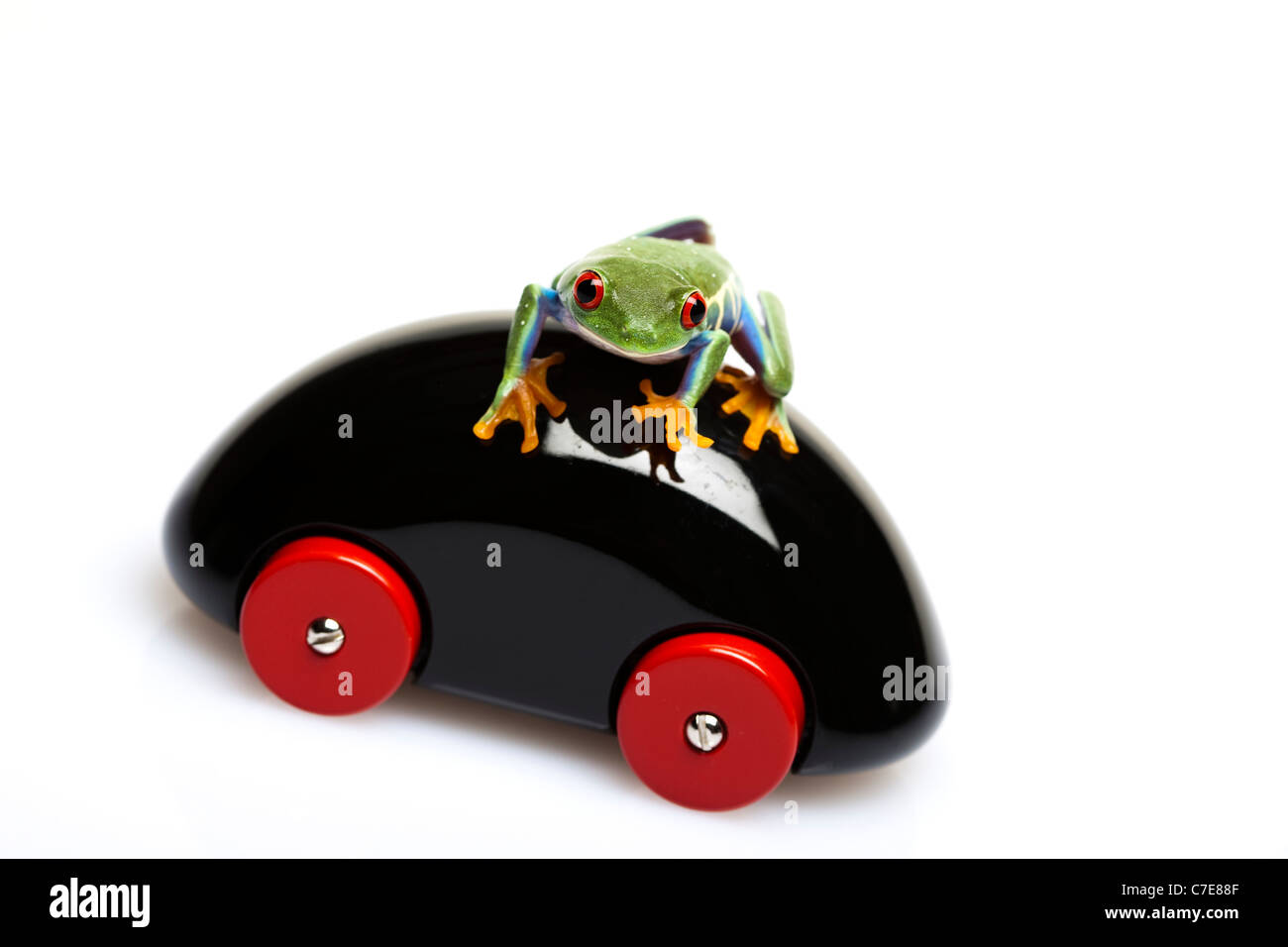 Toy car and frog Stock Photo - Alamy