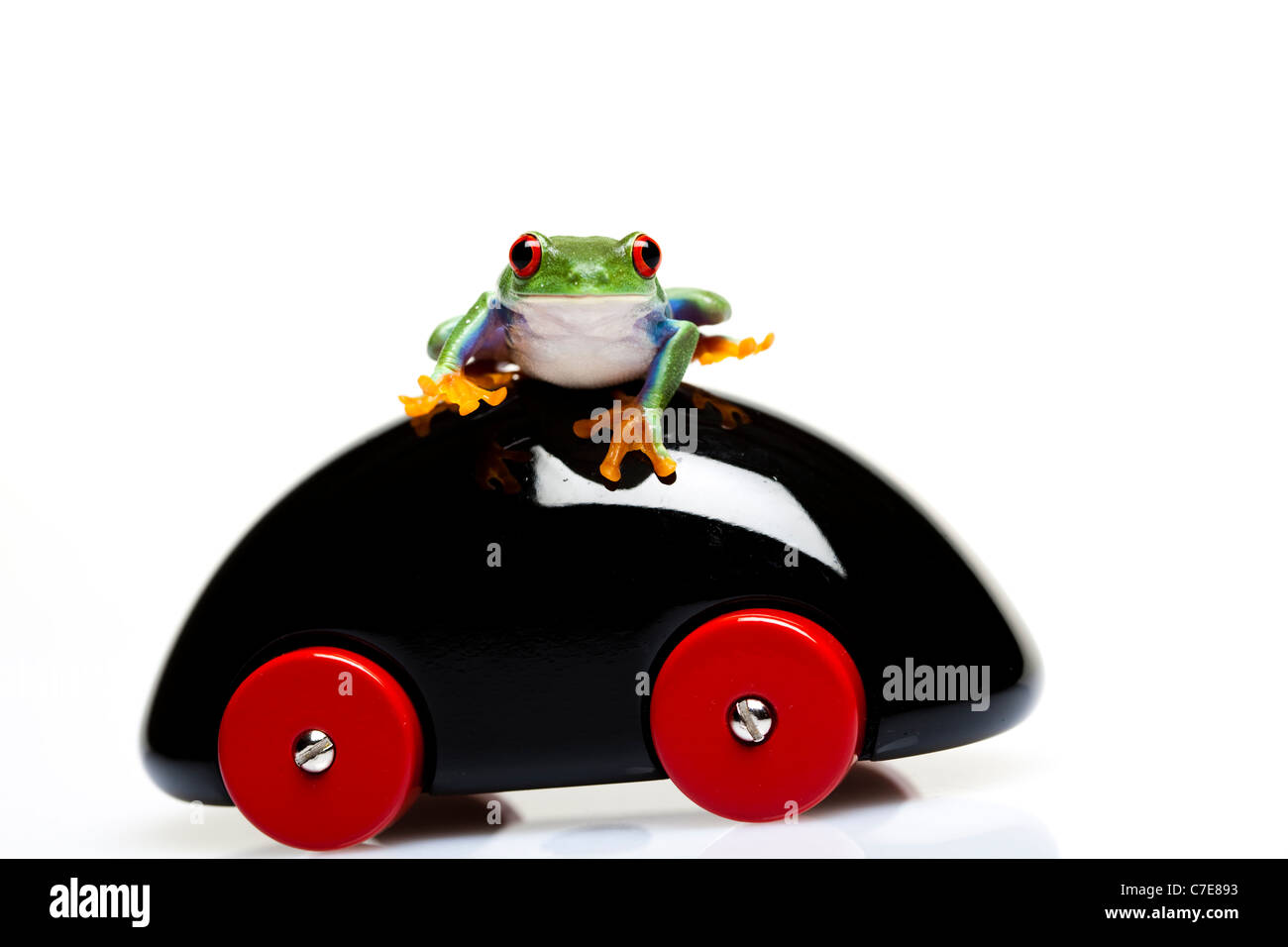 Frog on wooden toy car Stock Photo - Alamy