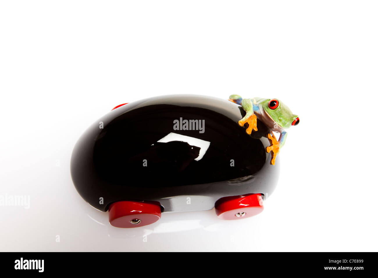 Frog on wooden toy car Stock Photo - Alamy