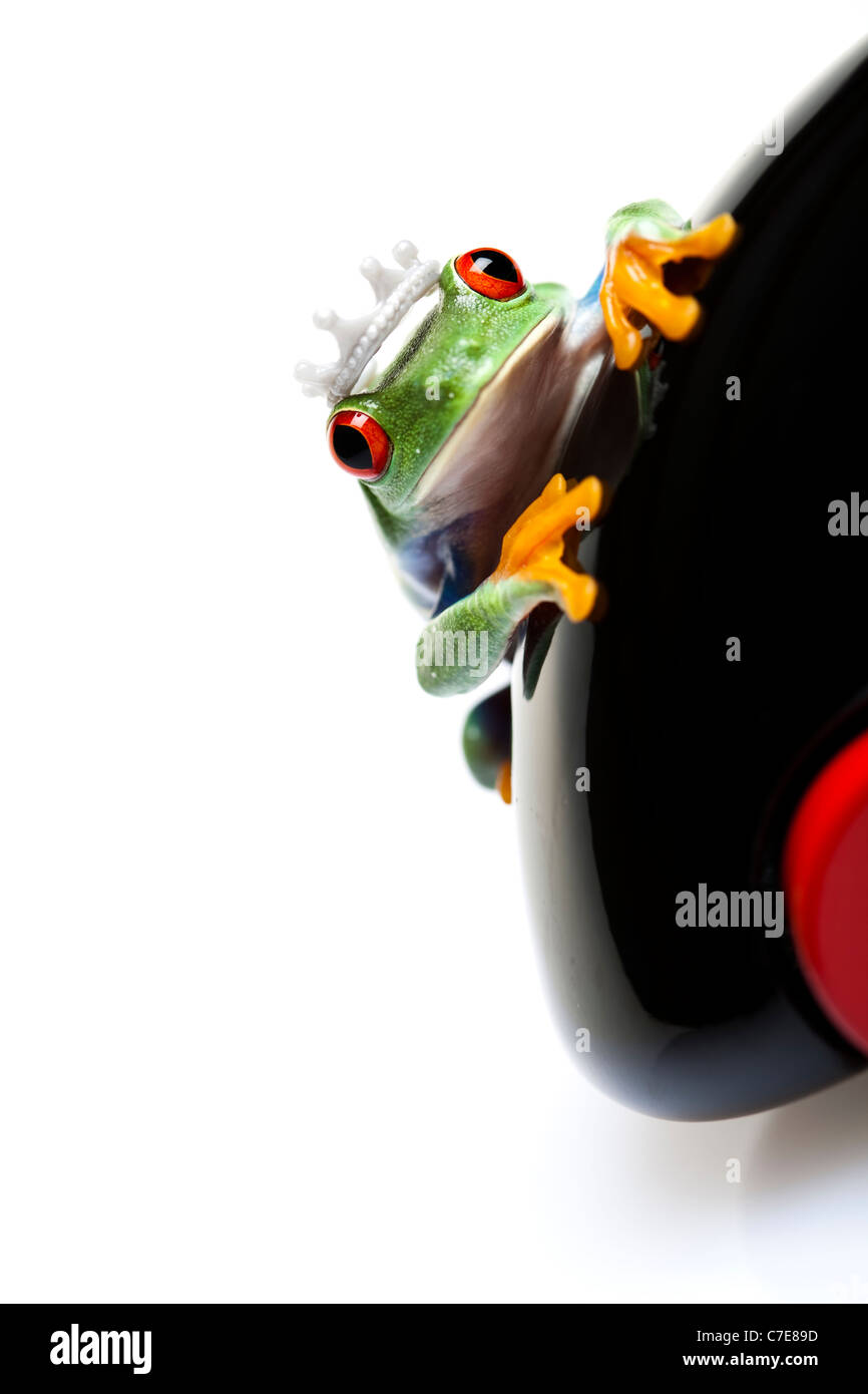 Frog and car Stock Photo - Alamy