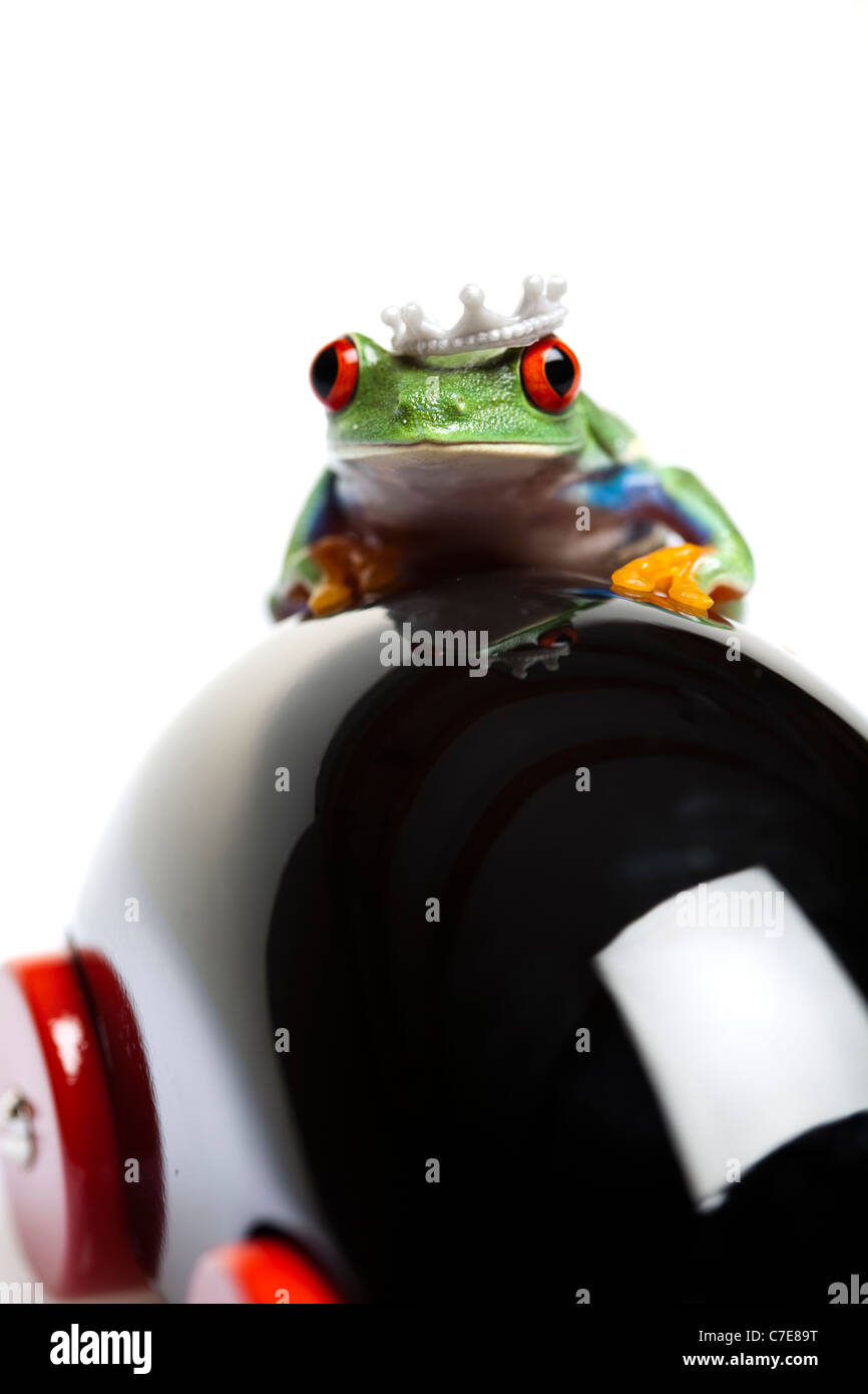 Frog and car Stock Photo - Alamy