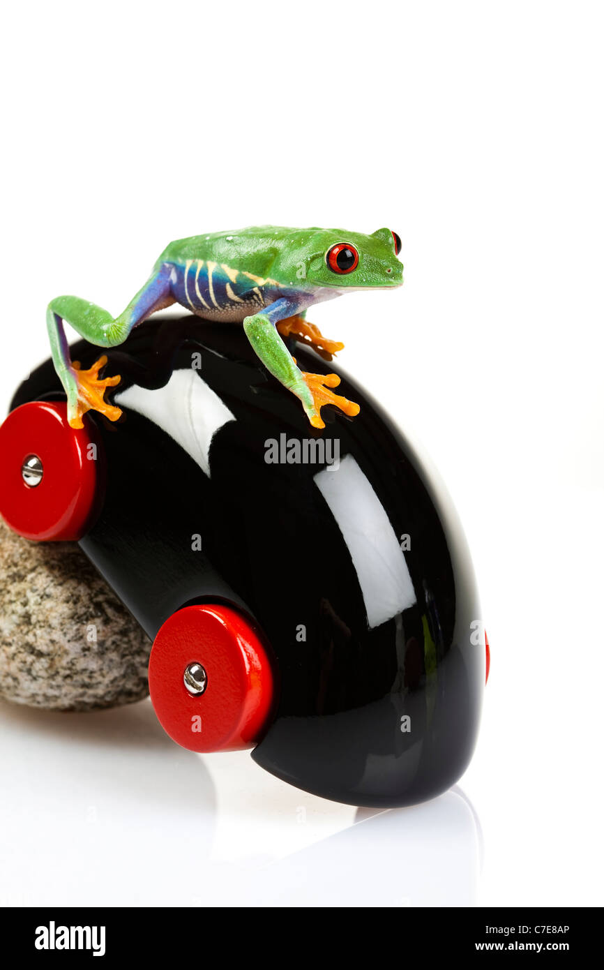 Car toy and crazy frog Stock Photo - Alamy