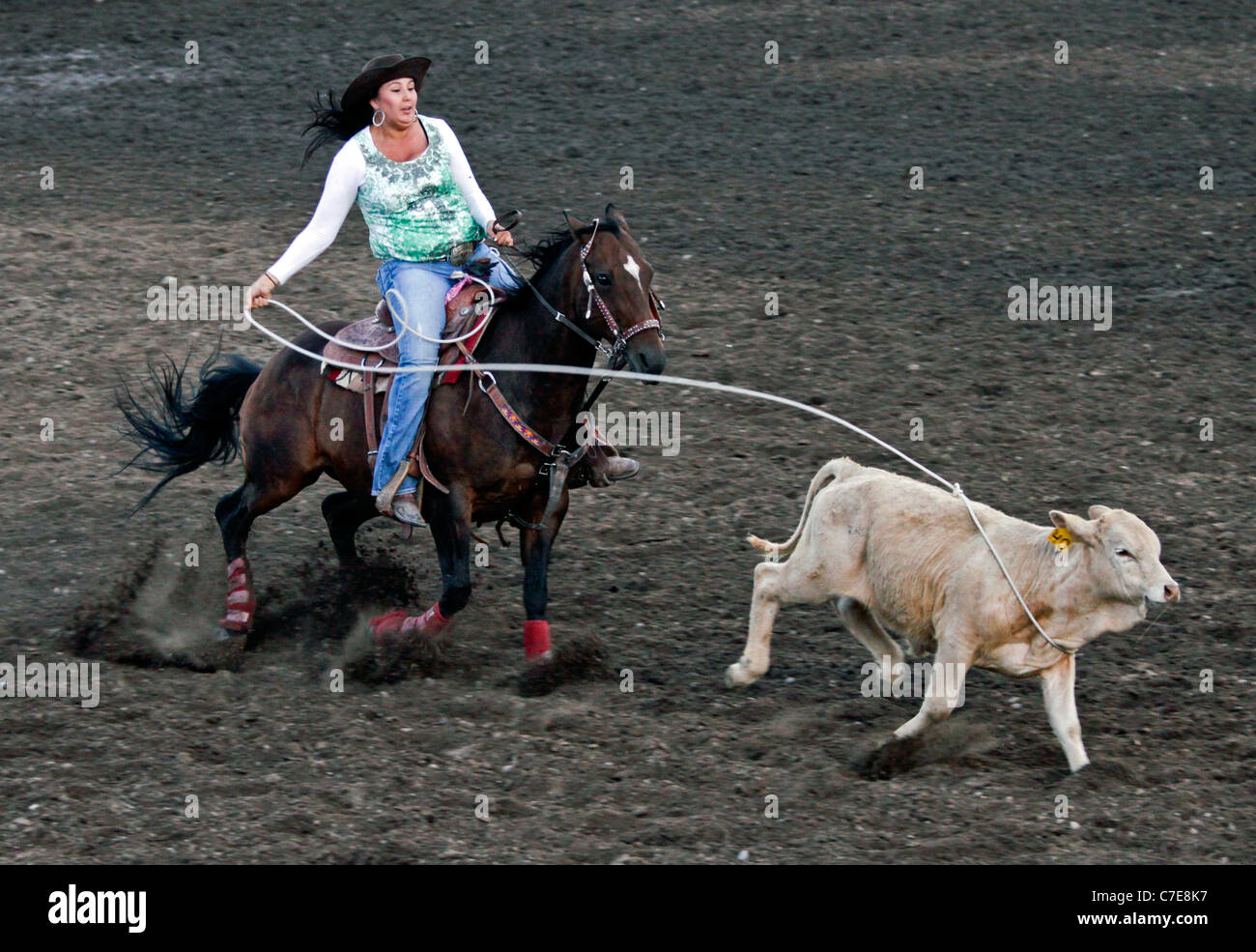 Girl roping calf hi-res stock photography and images - Alamy