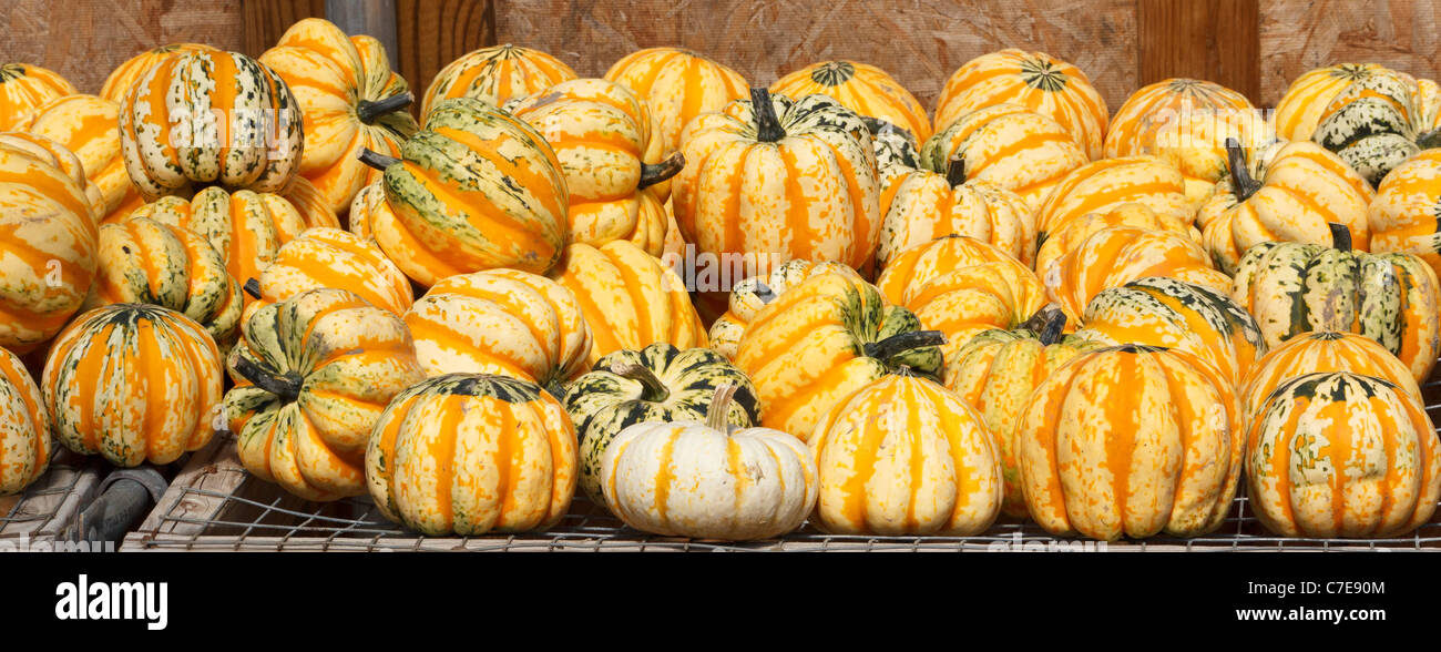 Pumpkin farm stand hi-res stock photography and images - Alamy