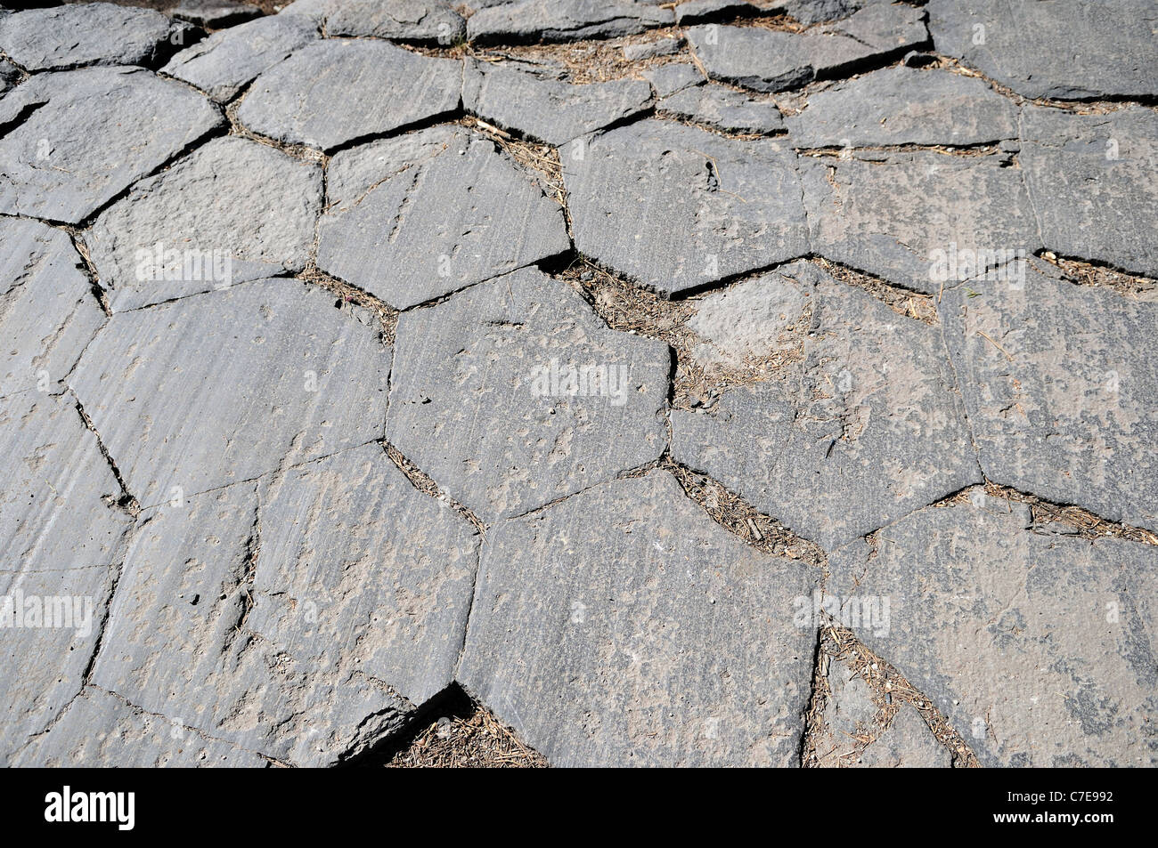 Glacial striations on the polygonal cross section of basalt columns at ...
