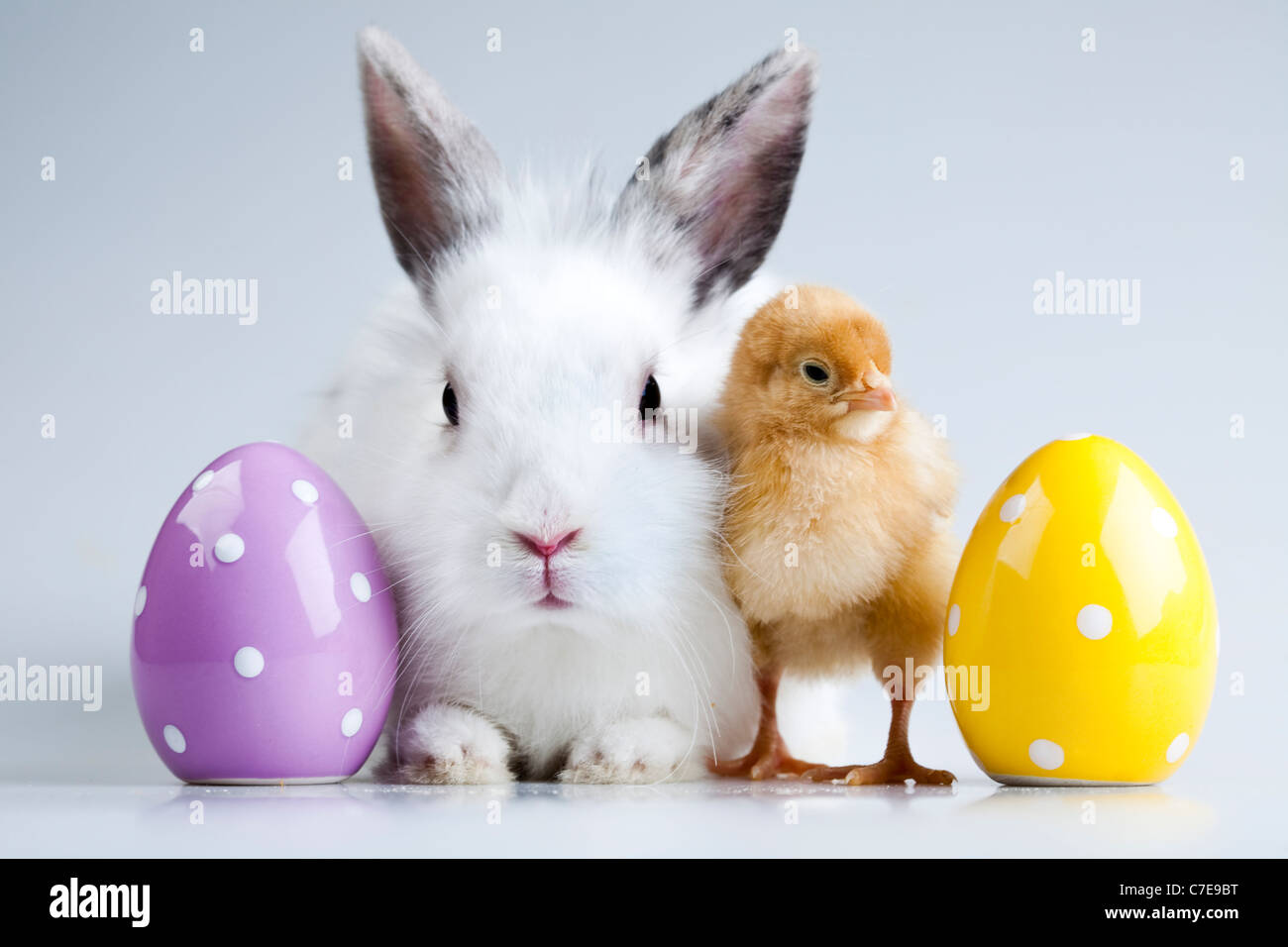 Easter Chick and bunny on table Stock Photo - Alamy