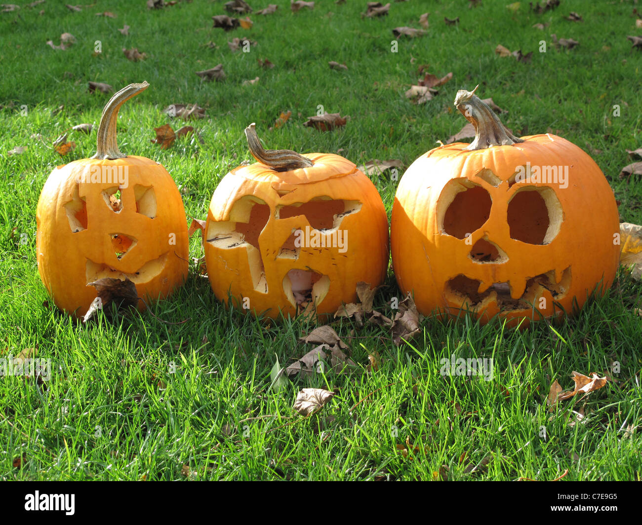 Scary yard decorations for halloween hi-res stock photography and ...