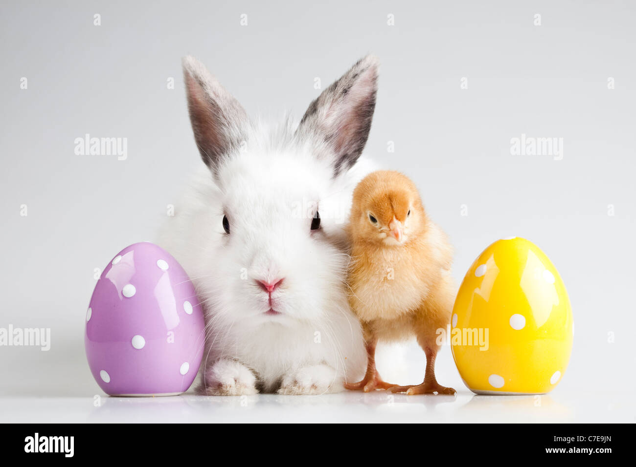Chick and bunny Stock Photo - Alamy