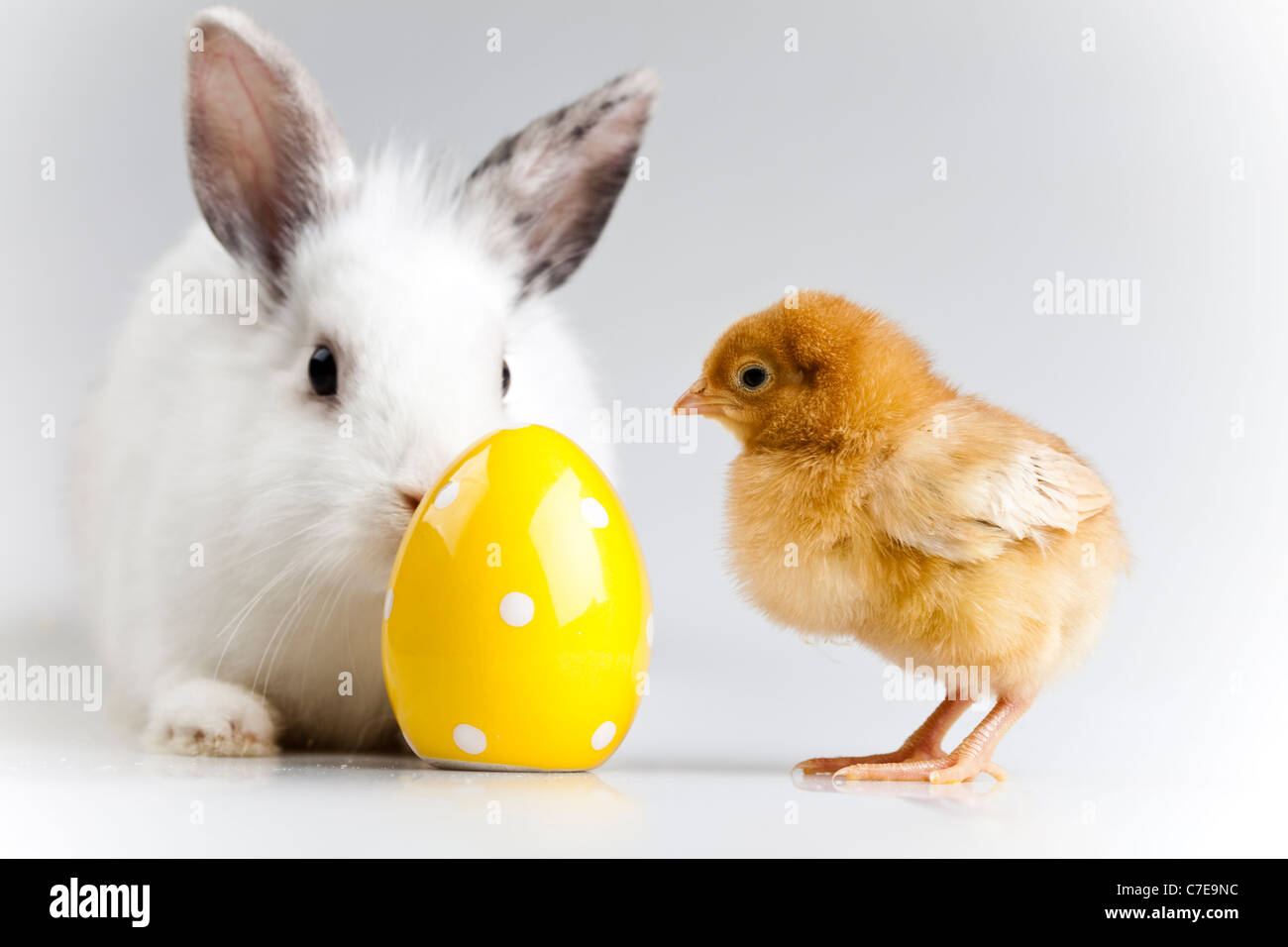 Chick and bunny Stock Photo - Alamy