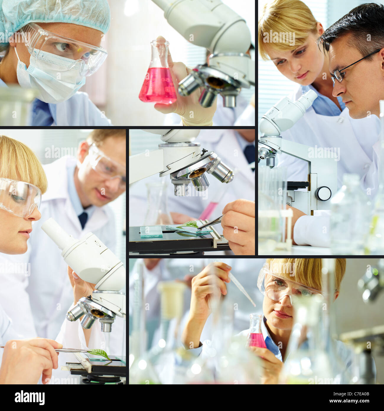 Collage of clinicians studying new substance in laboratory Stock Photo ...