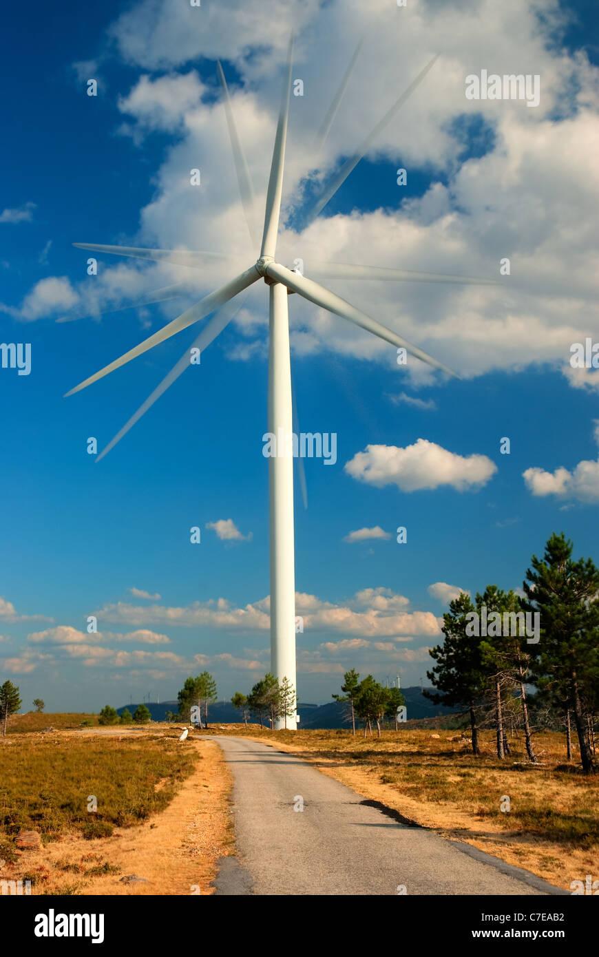 Wind turbine, renewable energy source Stock Photo - Alamy