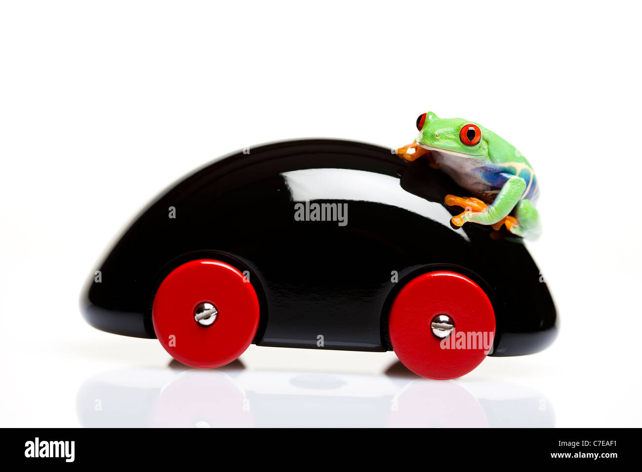 Green Frog driving! Stock Photo - Alamy