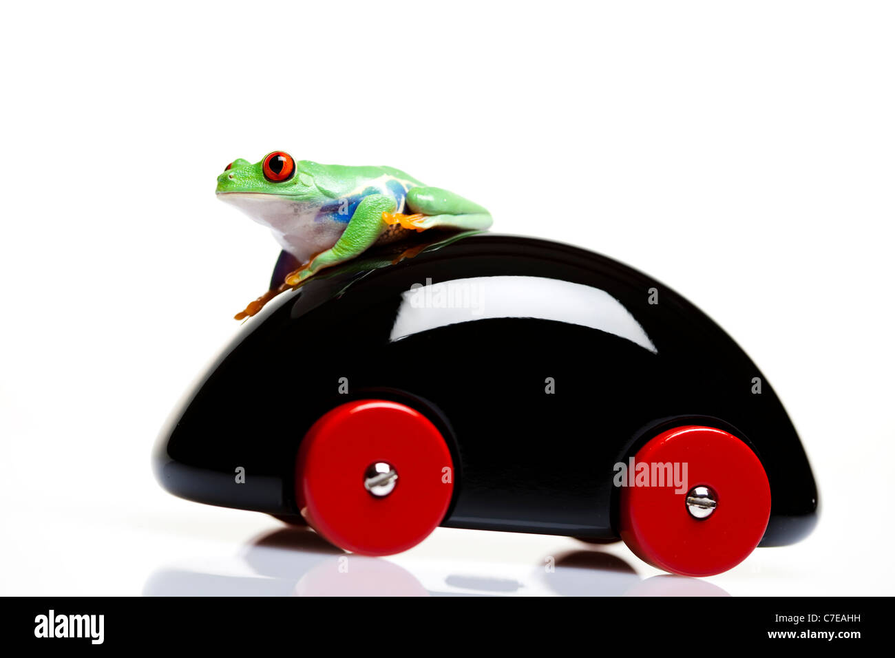 Frog and car Stock Photo - Alamy