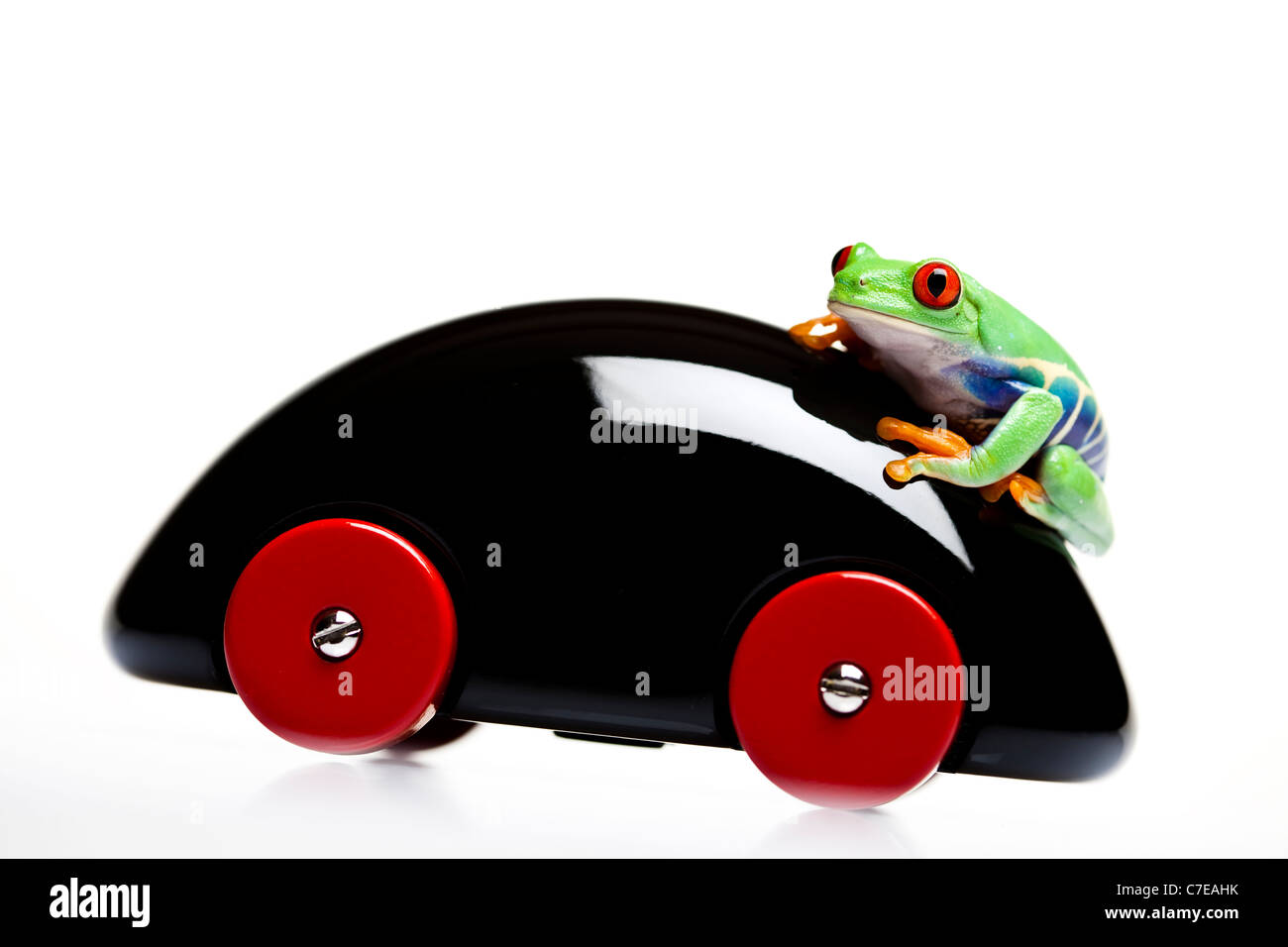 Frog and car Stock Photo - Alamy