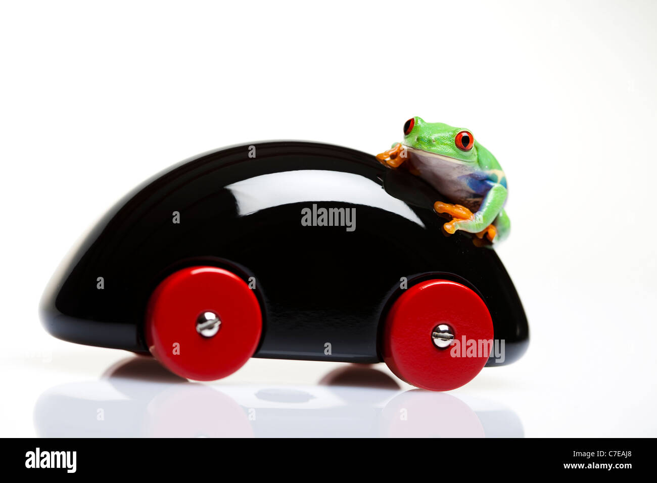 Frog and car Stock Photo - Alamy