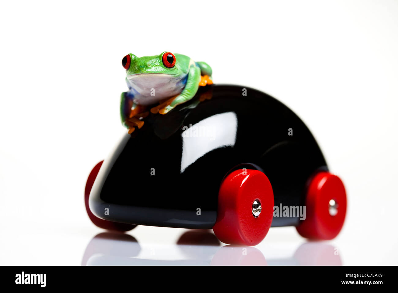 Frog in a car Stock Photo - Alamy