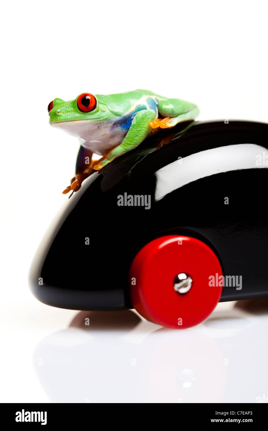 Toy car and frog Stock Photo - Alamy