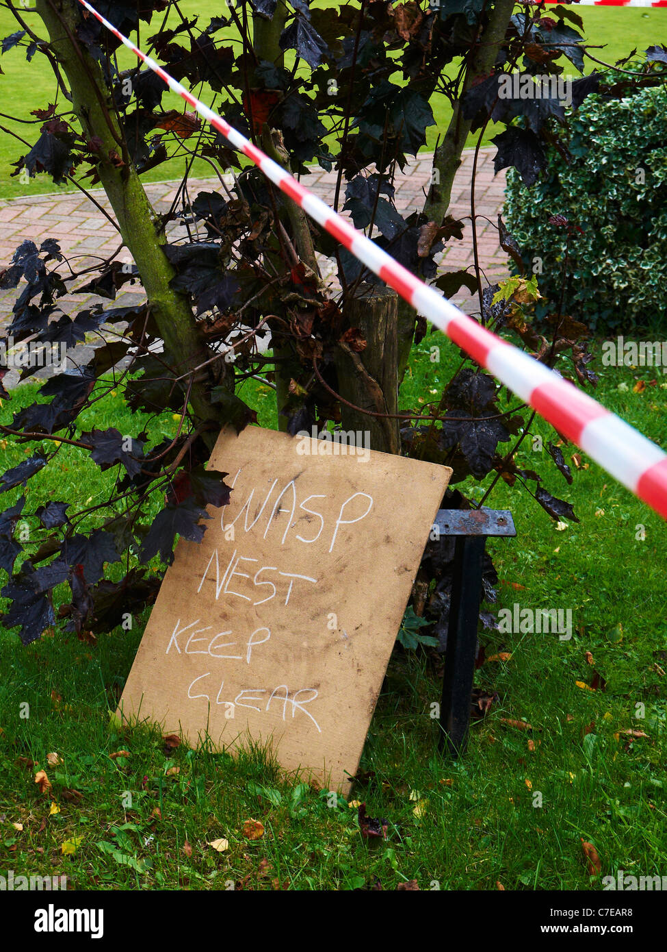 Wasp nest keep clear warning sign Stock Photo - Alamy