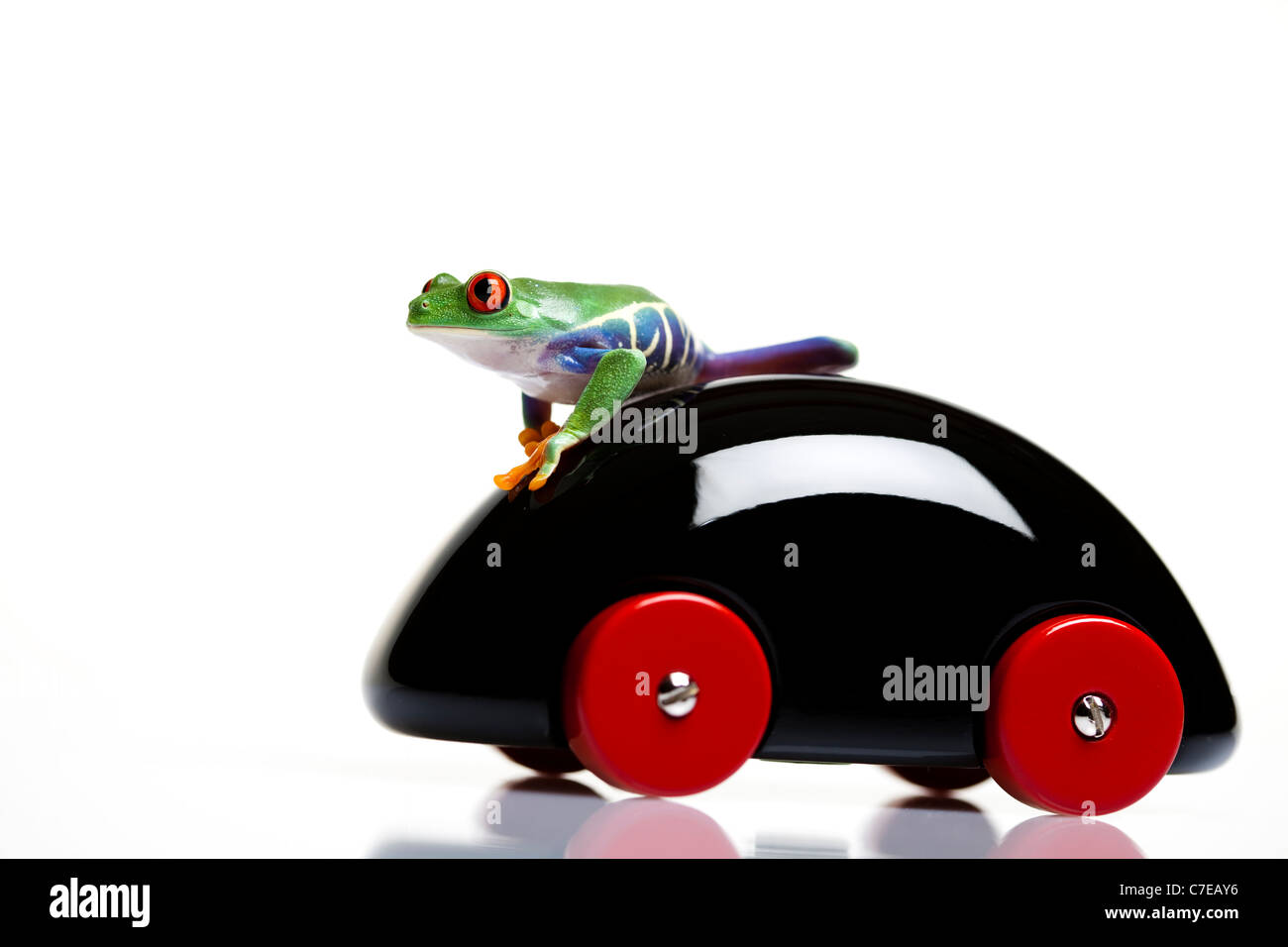 Frog and car Stock Photo - Alamy