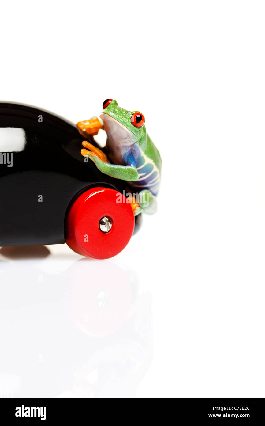 Toy car and frog Stock Photo - Alamy